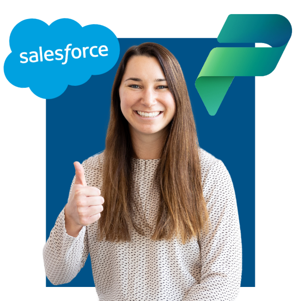 Low Code Assessment for Salesforce | Microsoft Power Platform Partner